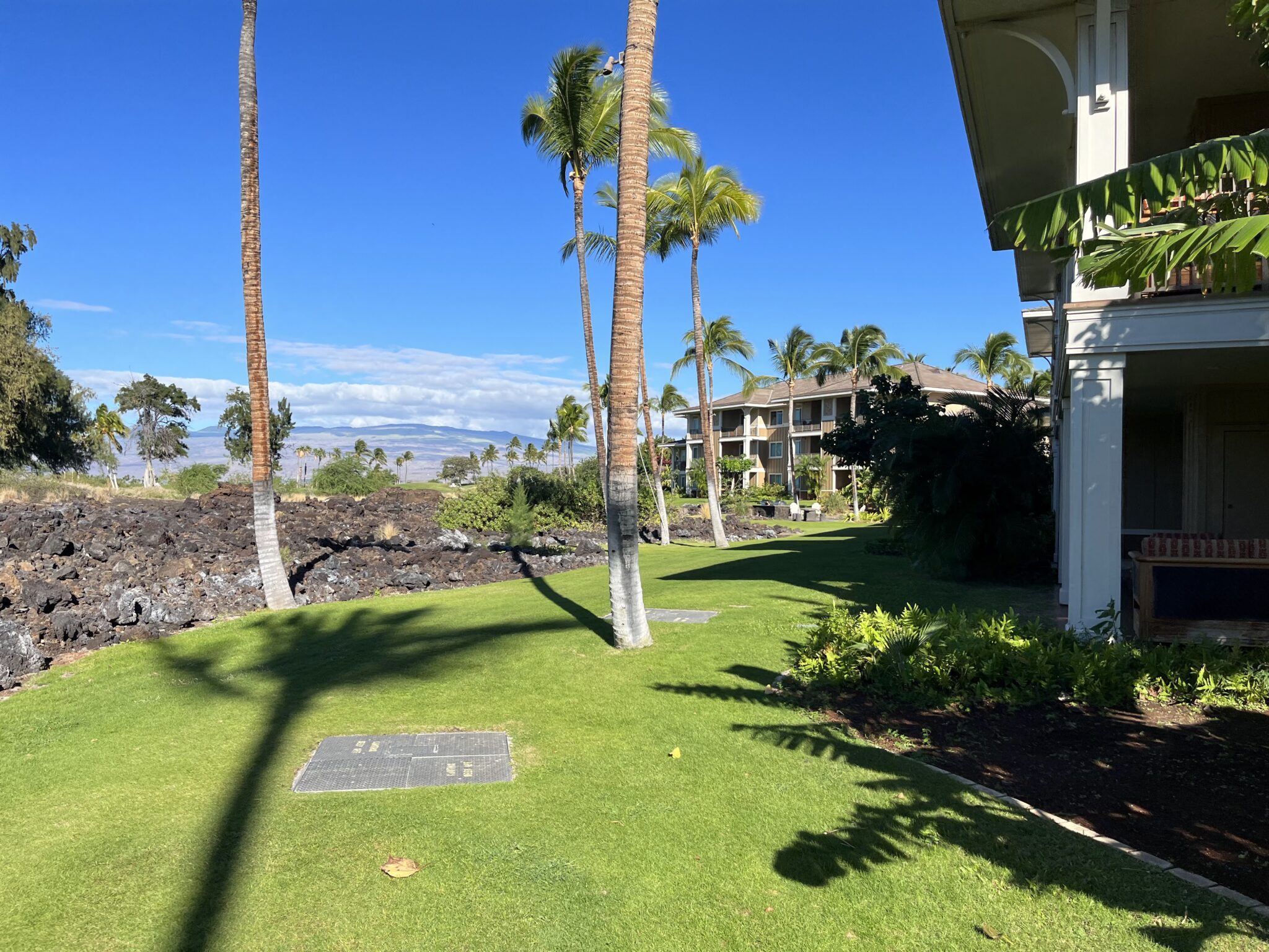 【HGVC宿泊記】キングスランドバイヒルトンワイコロア徹底解説【ハワイ島】 – NextTrip